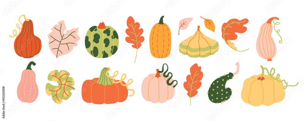 Autumn harvest various pumpkins and leaves hand drawn cute simple ...