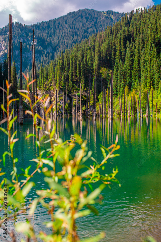 Sunken forest of Lake Kaindy in Kazakhstan. Beautiful mountain natural ...