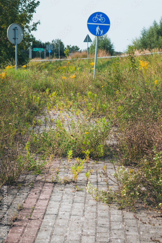 neglected, overgrown with weeds and grass new pavement with cycle path ...