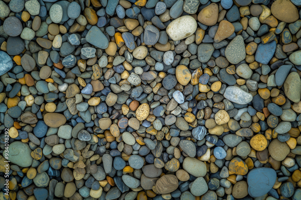 The background features a mosaic of irregularly shaped rocks and smooth ...