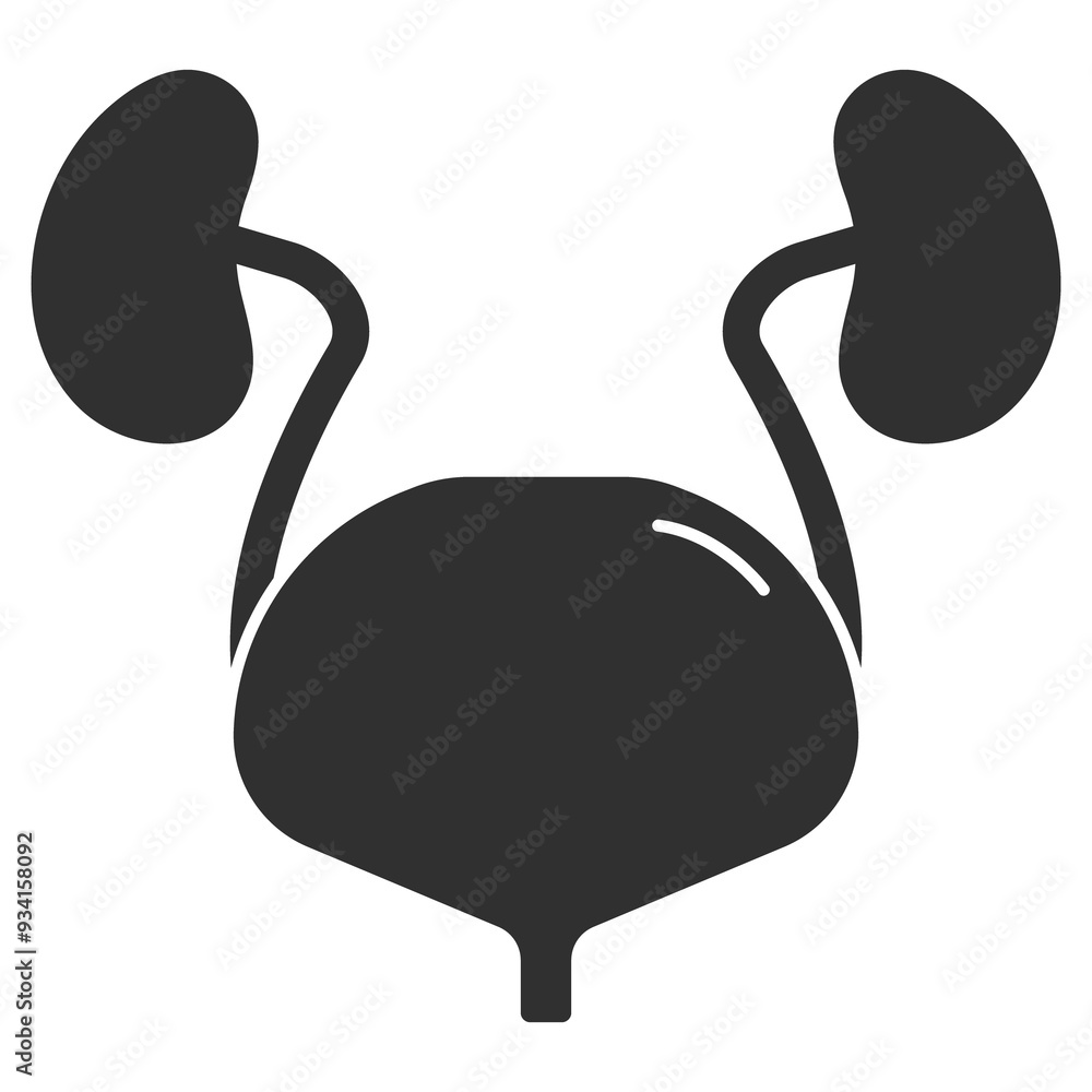 Urology Icon Design. Representing Urinary Tract Health. Male ...