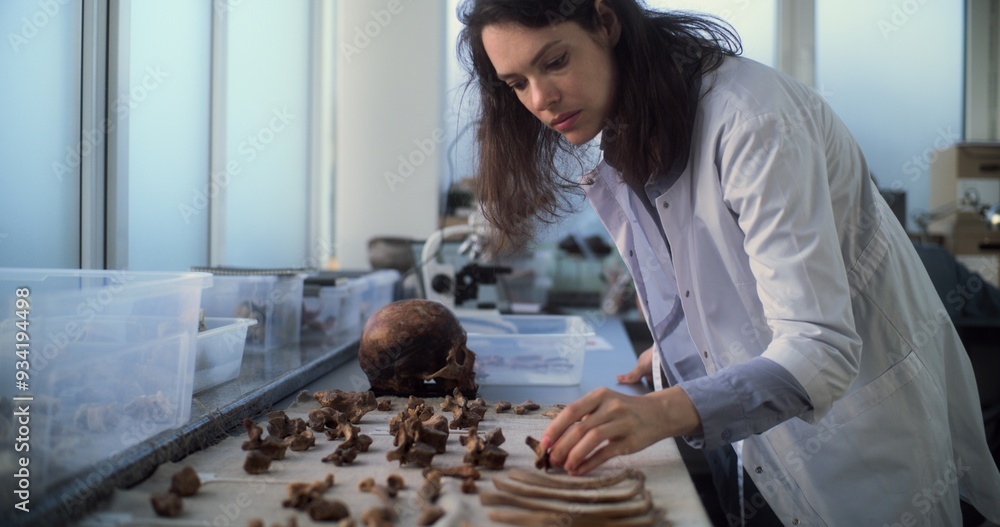 Young scientist works with fossil remains in archaeological laboratory ...