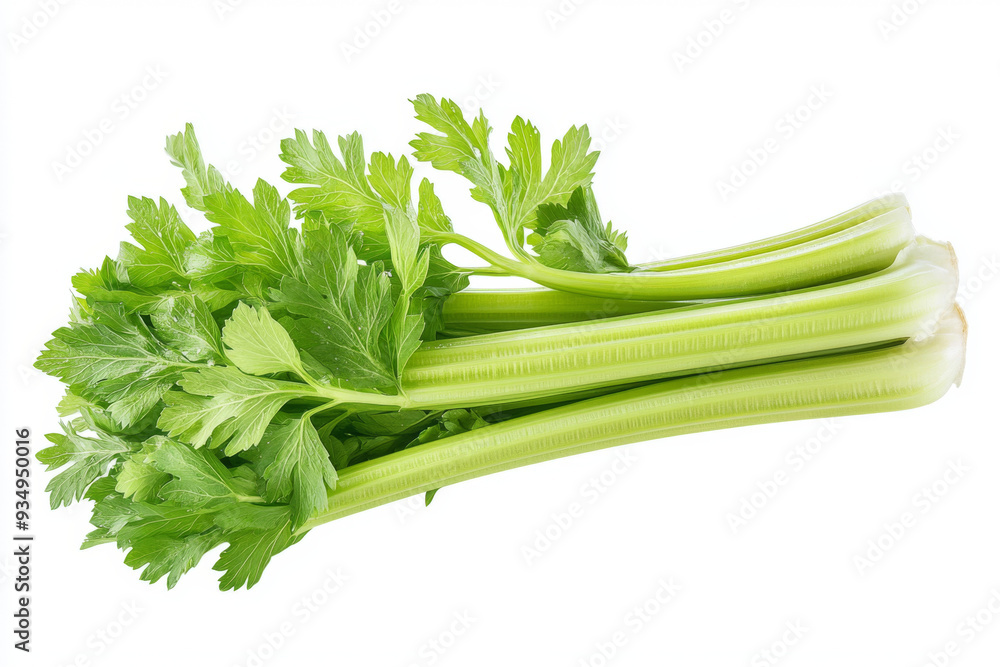 A bunch of celery stalks are shown in a white background. The celery ...