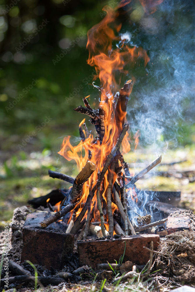 Feu de joie de branches avec de la fumée en foret. Flamme orange d'un ...