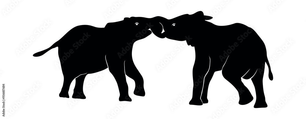 Elephants are fighting isolate on white. two elephants communicate ...