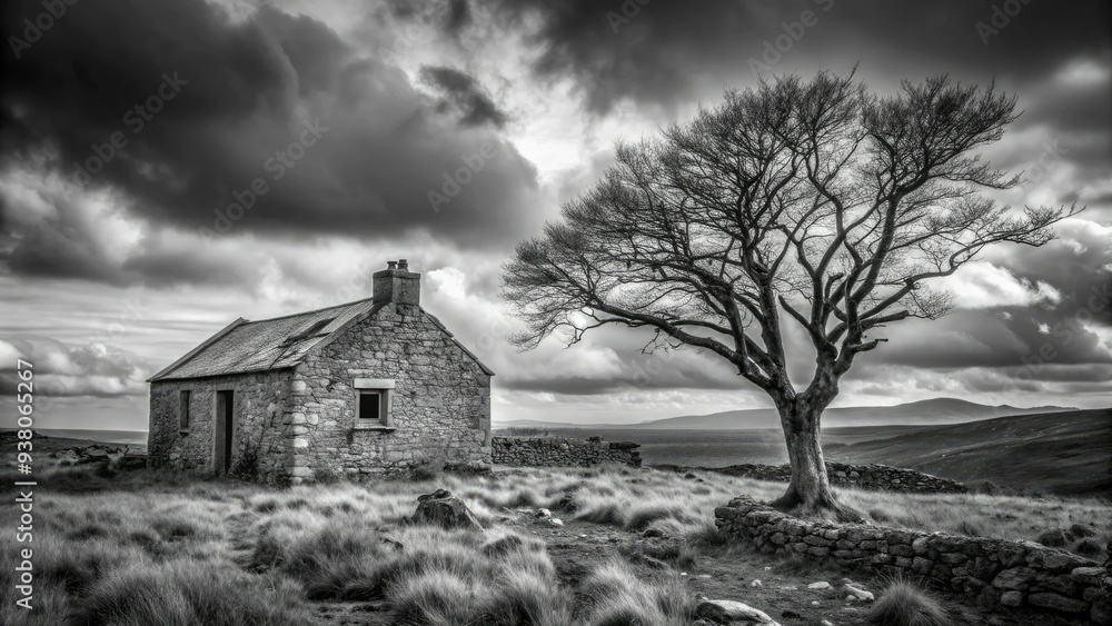 A haunting, black-and-white image depicts a desolate, barren Irish ...