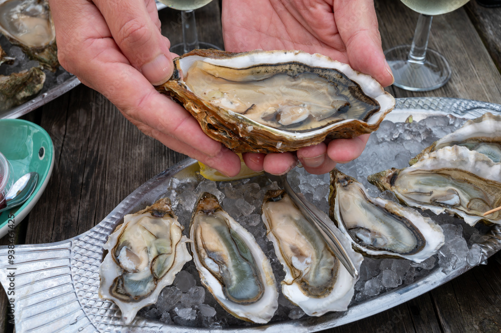 Eating of fresh live oysters with citron at farm cafe in oyster-farming ...