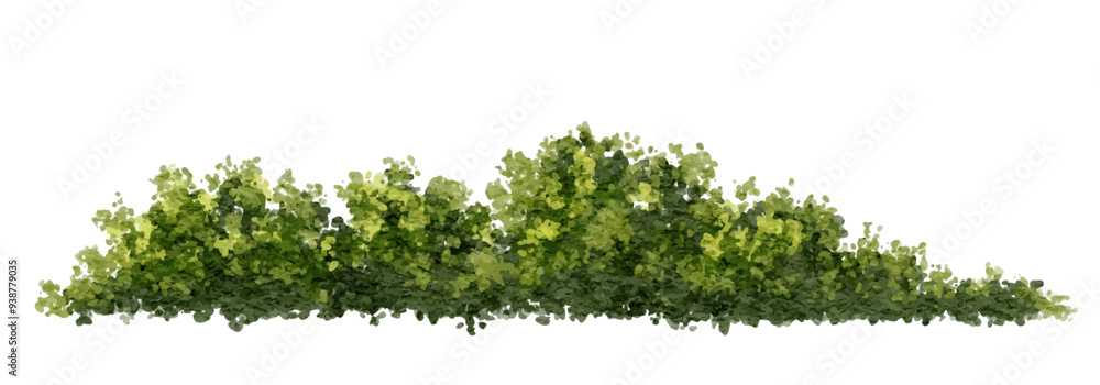 Vector of green tree side view isolated on white background ,watercolor ...