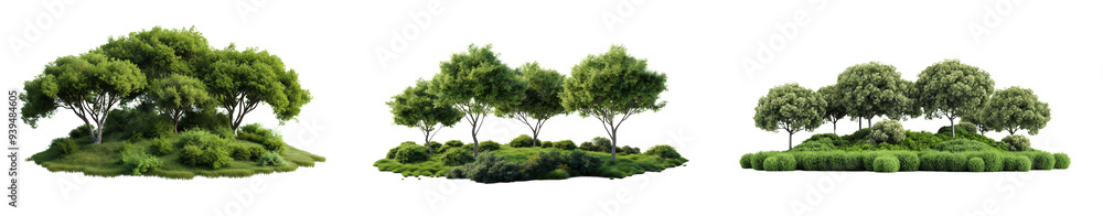 Fotografia do Stock: Group of trees with different shapes and sizes are ...