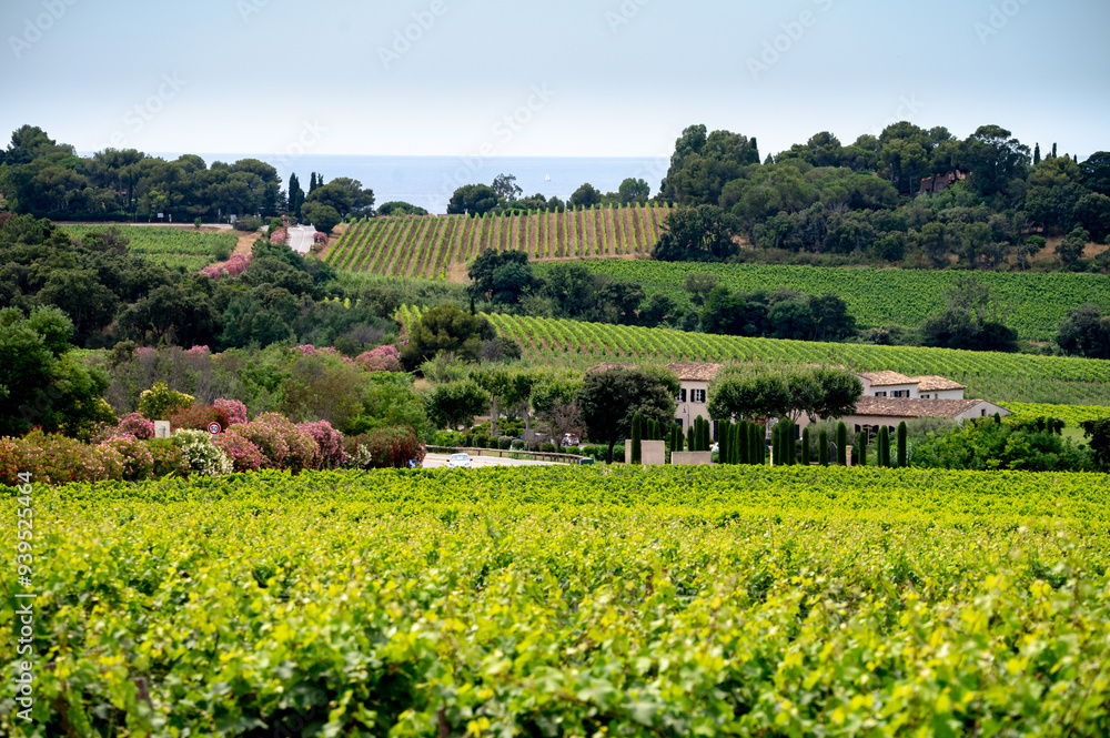 Landscape of French Riviera, view on hills, houses and green vineyards ...