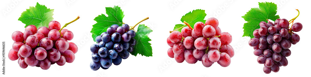 Juicy Grapes on Transparent Background: A vibrant collection of red and ...