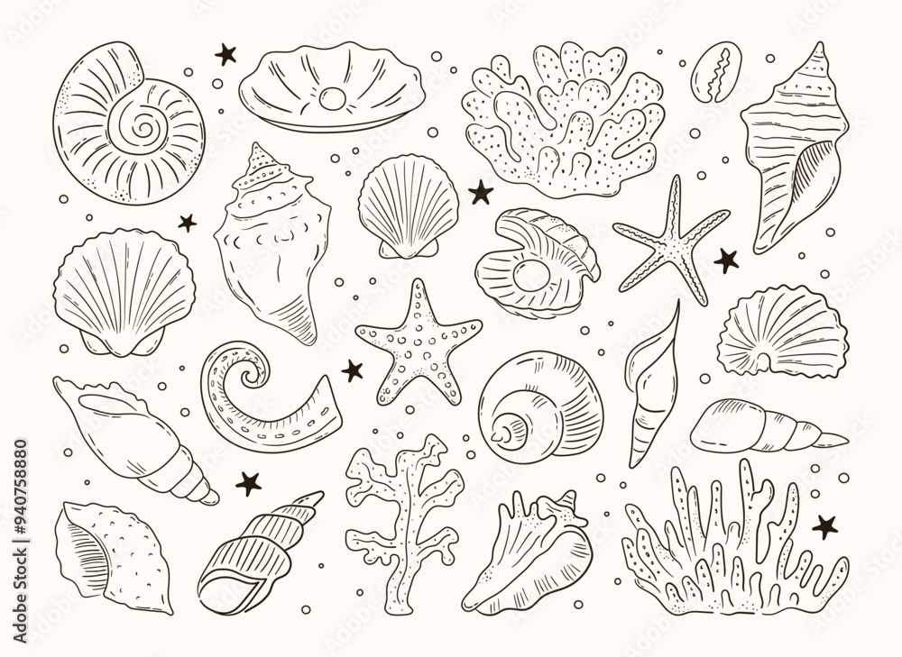 Set of hand drawn sea shells, conch, tentacle, starfish, corals ...