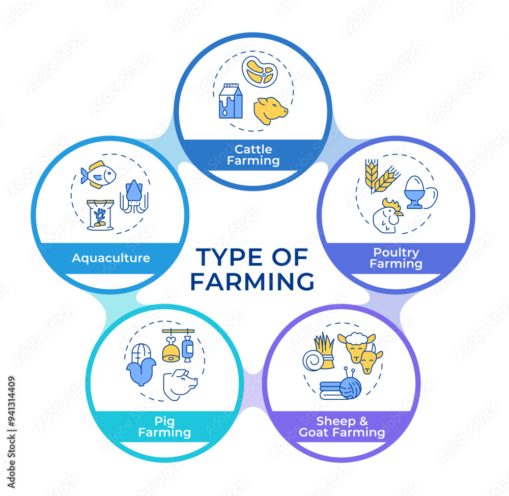 Animal farming infographic circles flowchart. Agriculture, aquaculture ...