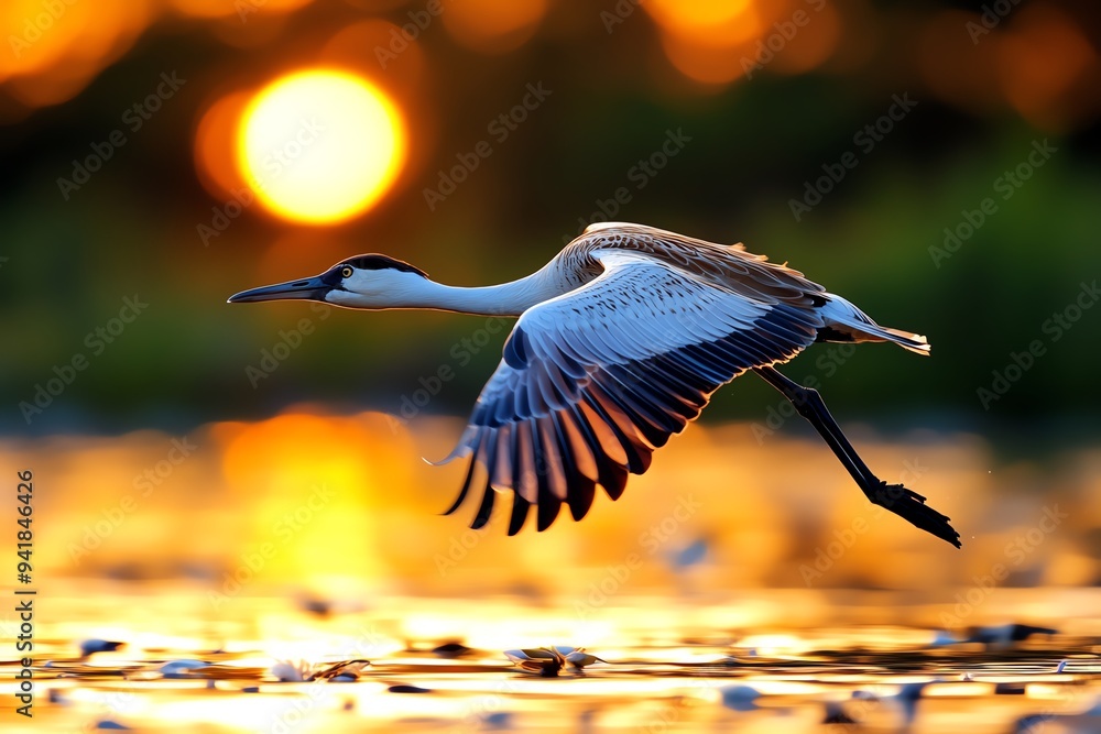Beautiful birds flying through a golden sunrise captured in a photo ...