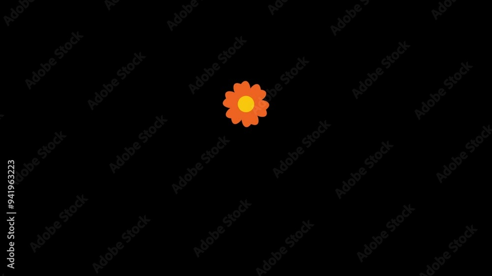 Flower on black screen background with two flower plants. flower on ...