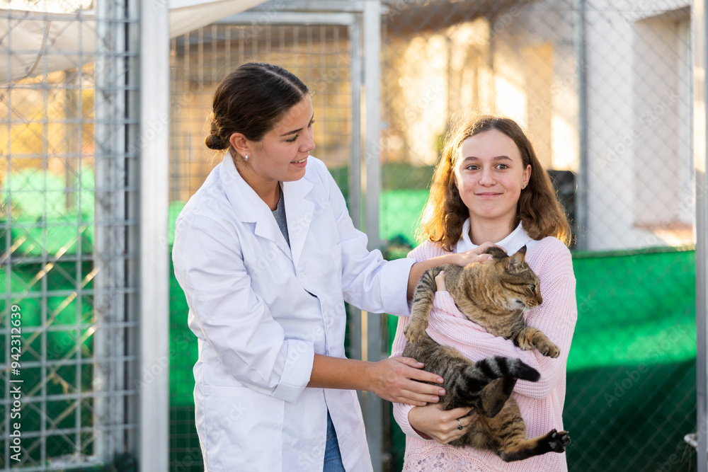 Cheerful cute tween girl standing near outdoor enclosure for homeless ...
