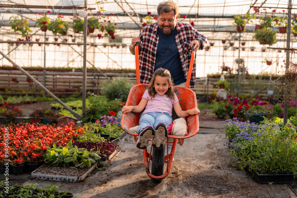 Daughter enjoying a wheelbarrow ride in the greenhouse, smiling widely ...