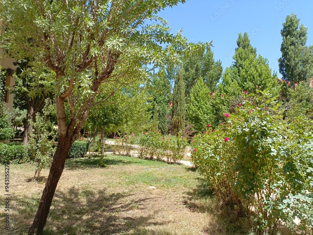 Ifrane, Morocco - August 04, 2024: The Splendor of Nature in Ifrane ...