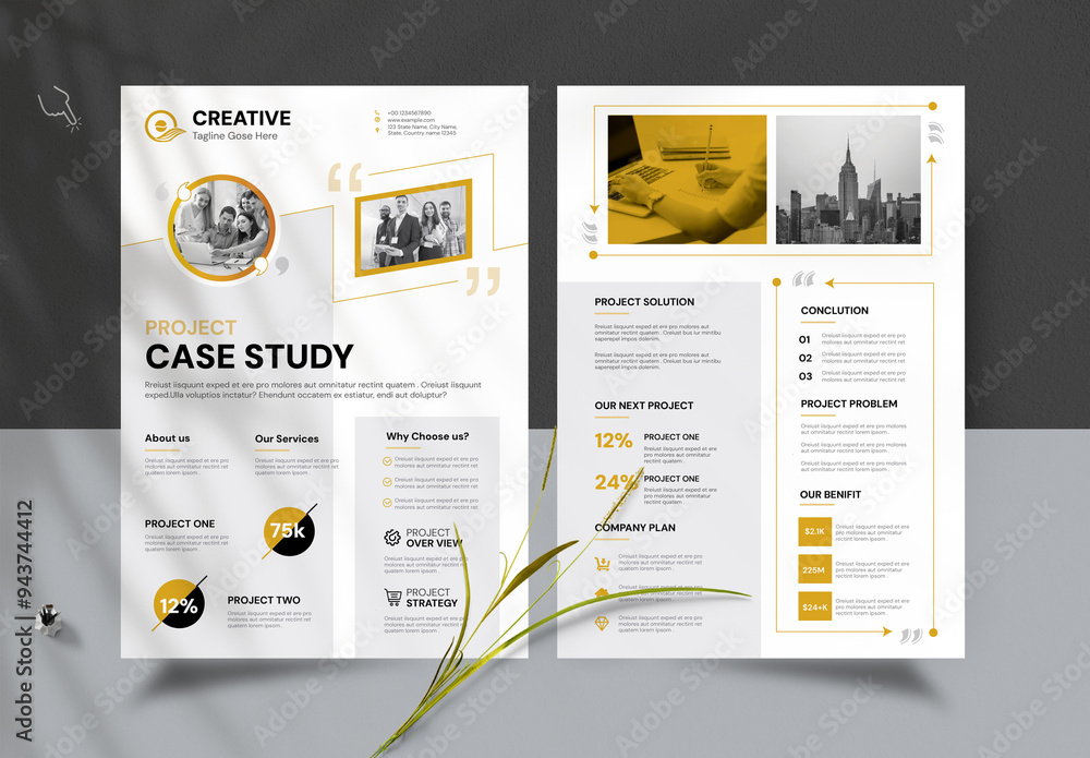 Case Study Flyers Layout Stock Template | Adobe Stock