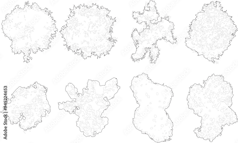 Tree plan outline silhouettes - top view 6 Stock Vector | Adobe Stock