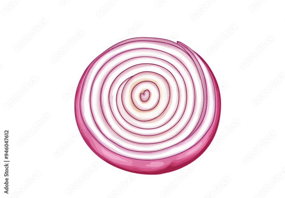 vector illustration of a single red onion ring, showing detailed cross ...