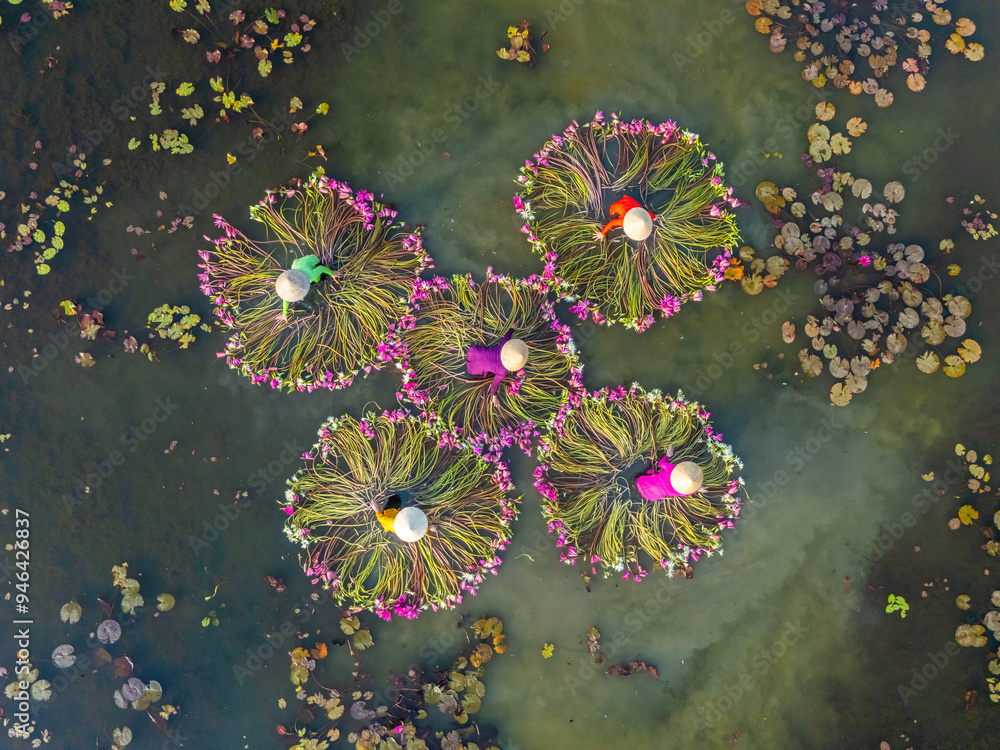Aerial view of rural women in Moc Hoa district, Long An province ...