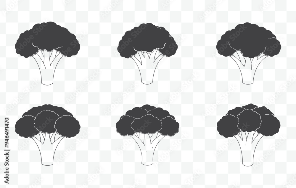 Print Broccoli Line Art Vector Set Detailed Illustrations of Broccoli ...