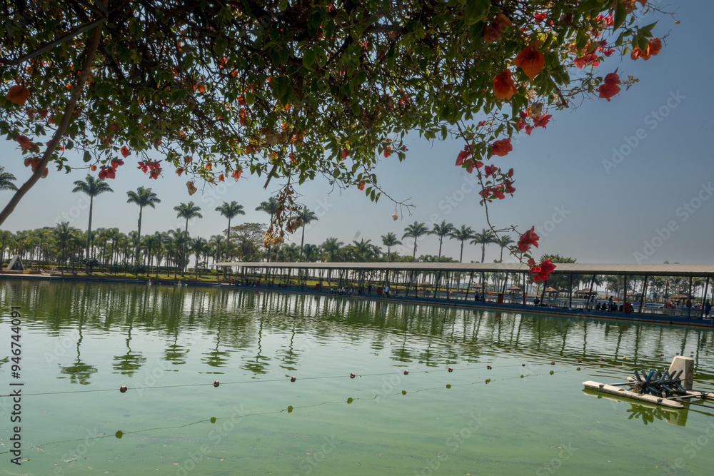 Parque Maeda em Itu, SP- Um Refúgio de Natureza, Diversão e Tradição ...