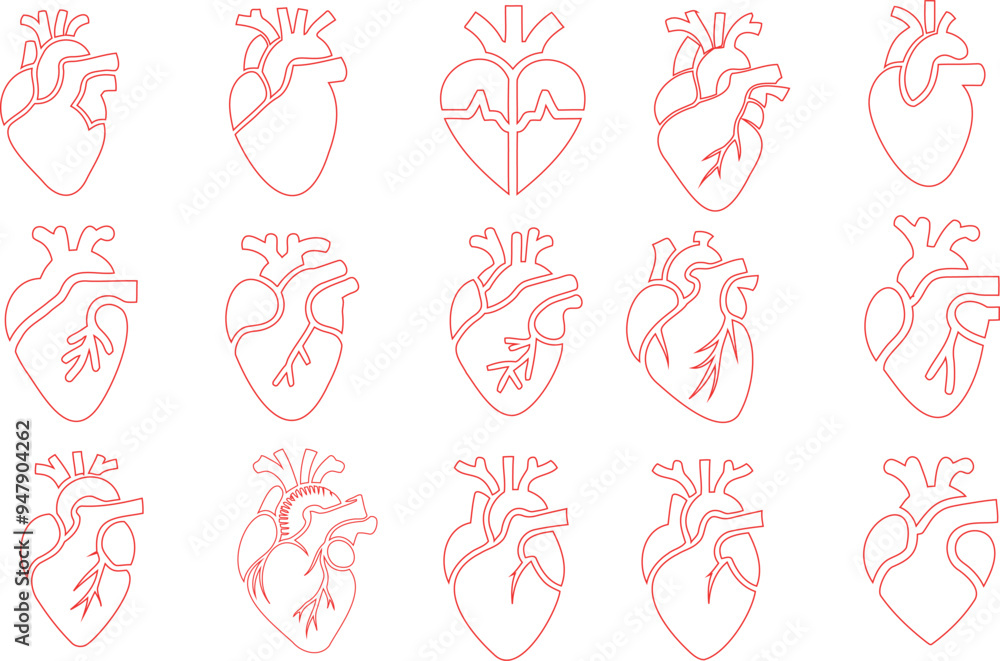 hearts line art vector illustration set, perfect anatomical heart for ...