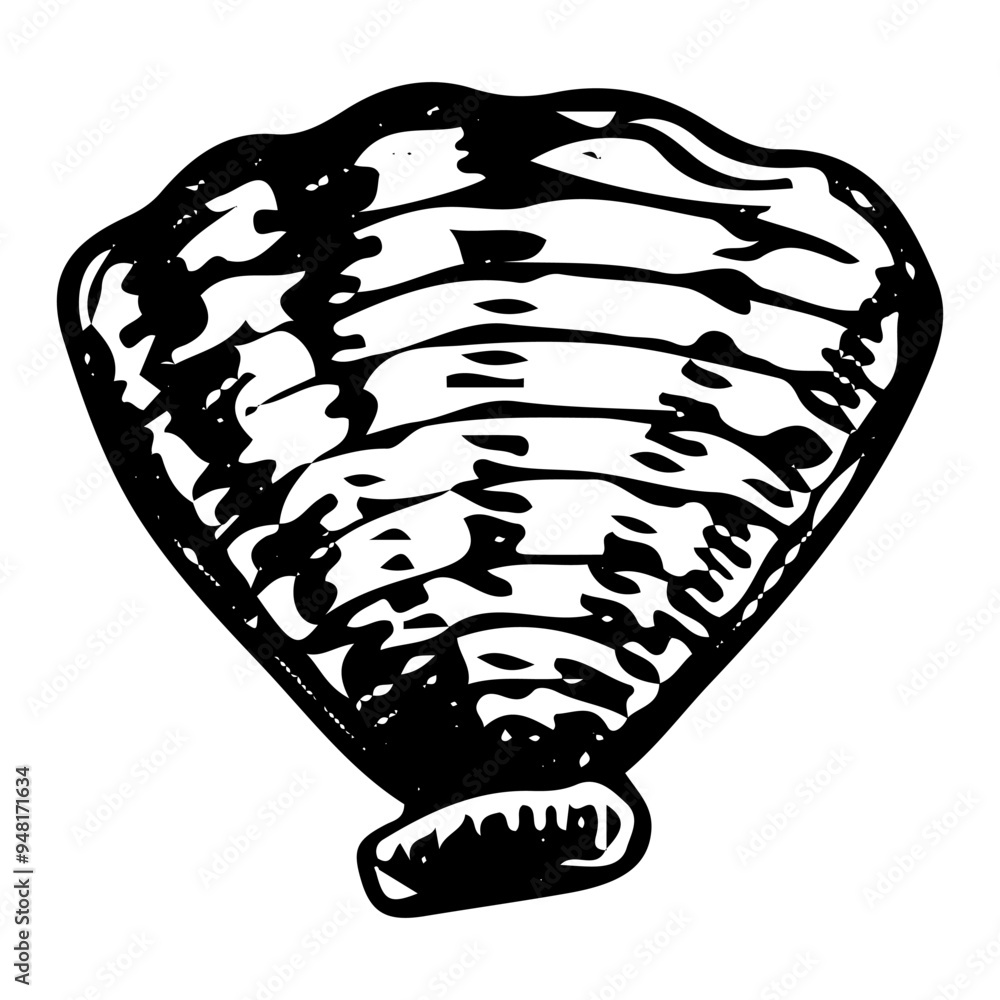 Seashell hand drawn doodle. Sea mollusk shell. Crayfish shell. Coral ...