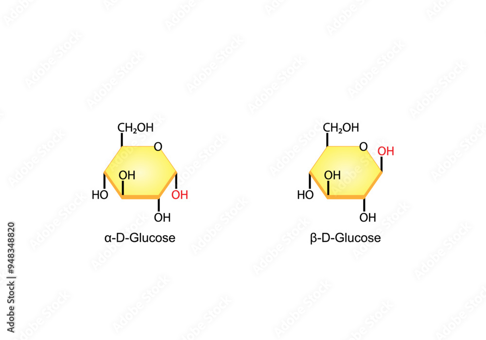 Alpha versus Beta Glucose. Stereoisomers. Chemical structure. Chemistry ...