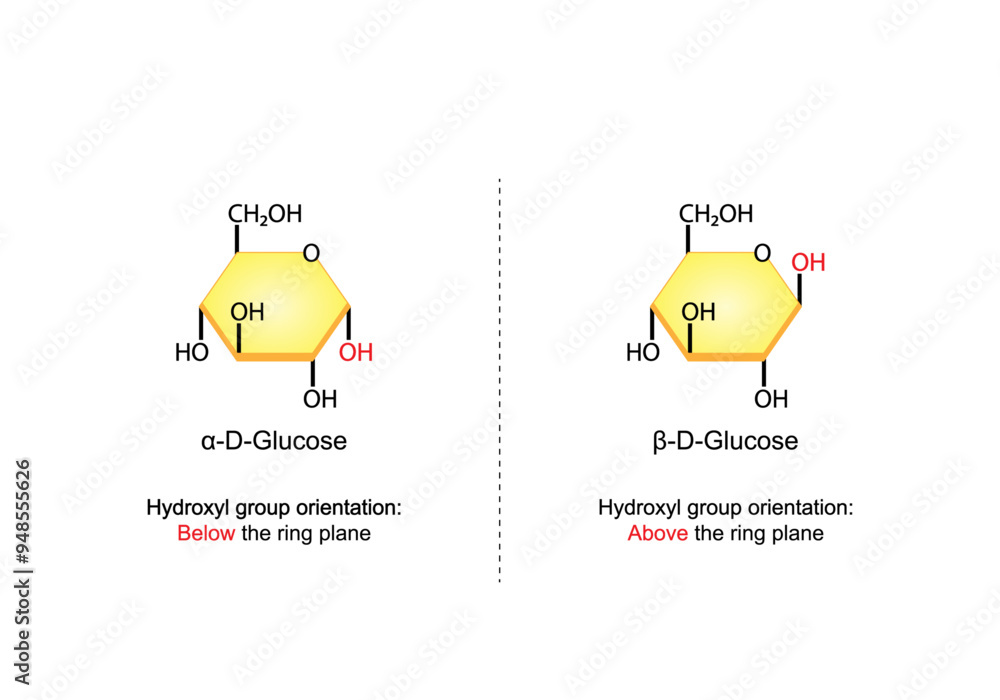 Alpha versus Beta Glucose. Stereoisomers. Chemical structure. Chemistry ...