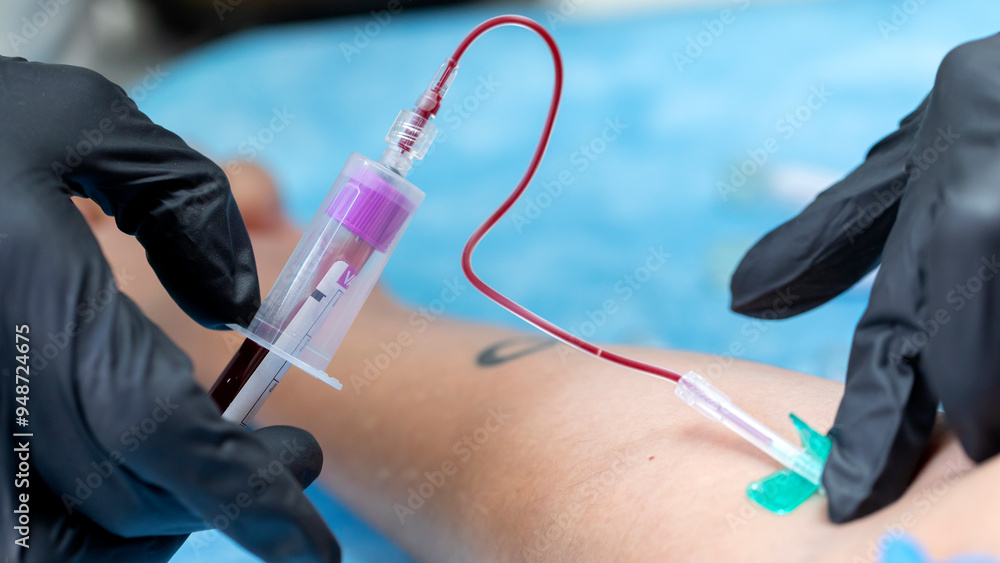 collecting blood samples through the venous system by venipuncture ...