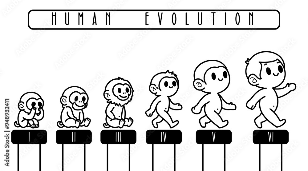 human evolution stages illustration, cute hand drawn diagram for ...