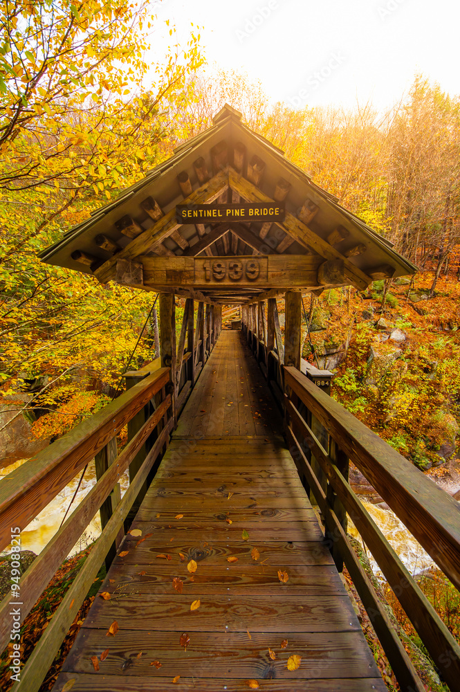 Sentinel Pine Wooden Bridge Covered Pedestrian Path Over River Autumn ...