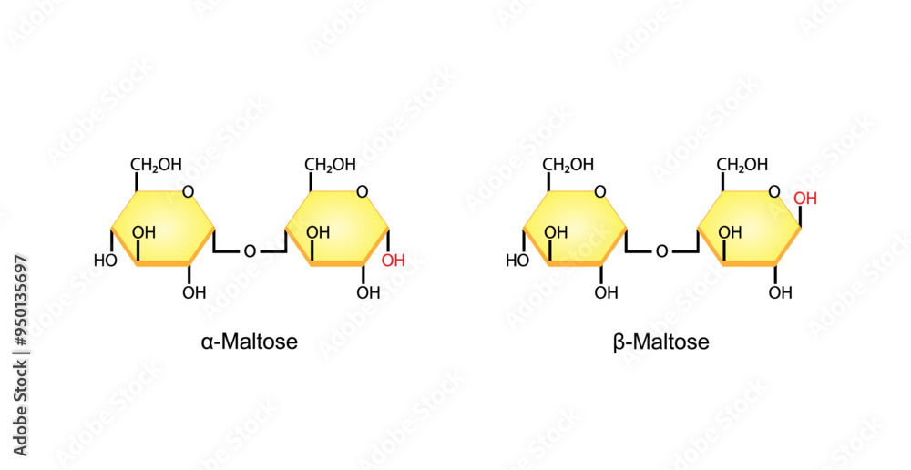 Maltose, malt sugar, chemical structure. Maltobiose. Disaccharide ...