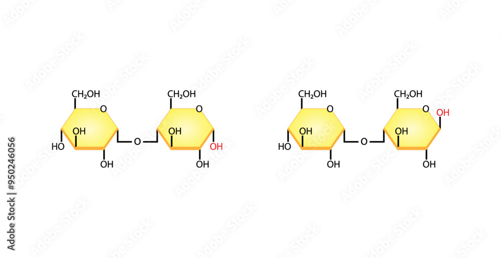 Maltose, malt sugar, chemical structure. Maltobiose. Disaccharide ...