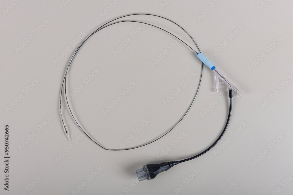 PTCA guide wires. Stent and catheter for implantation into blood ...