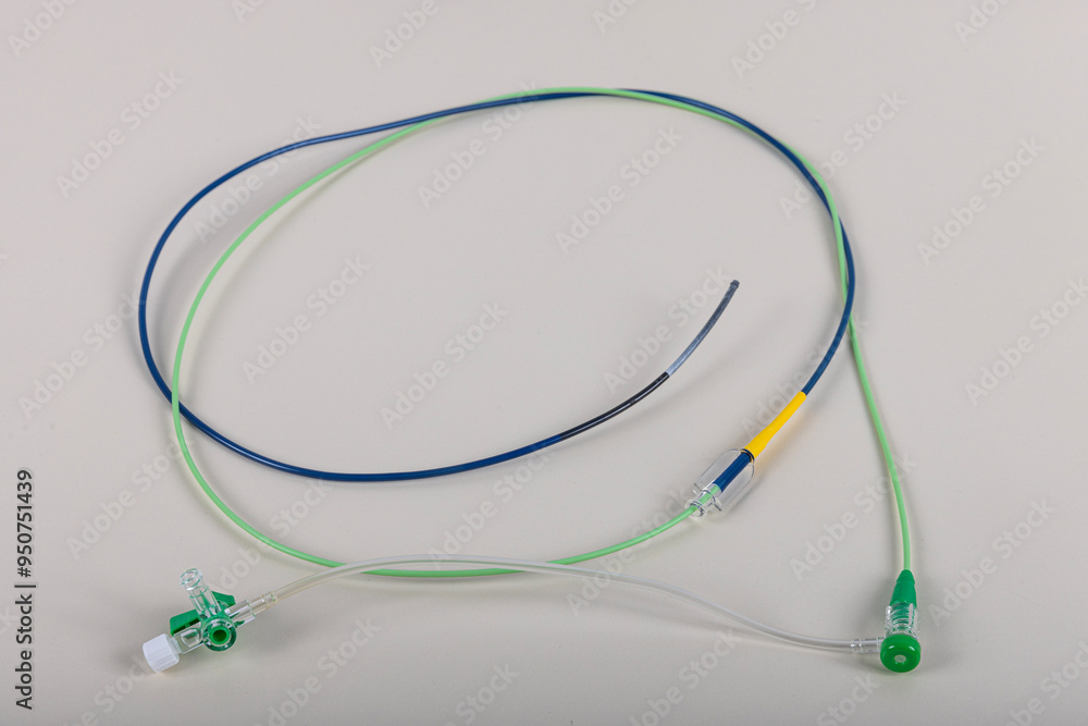 PTCA guide wires. Stent and catheter for implantation into blood ...