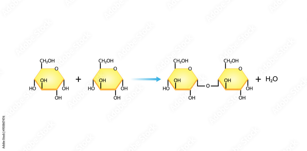 Maltose, malt sugar, chemical structure. Disaccharide Molecule. Glucose ...