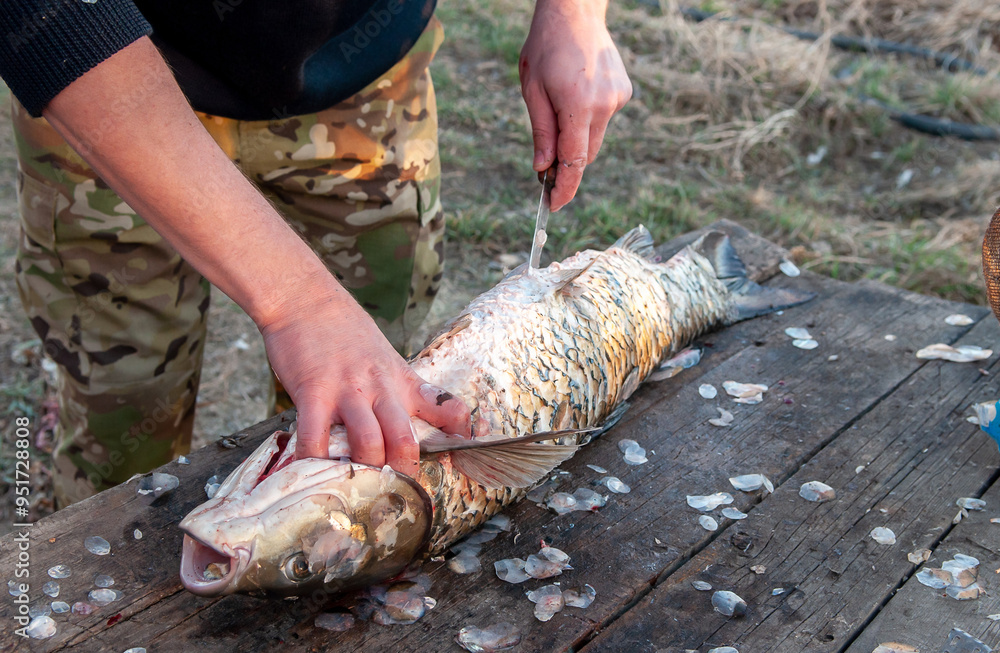 The man rips up the caught fish, cleans the scales. Fishing on the ...