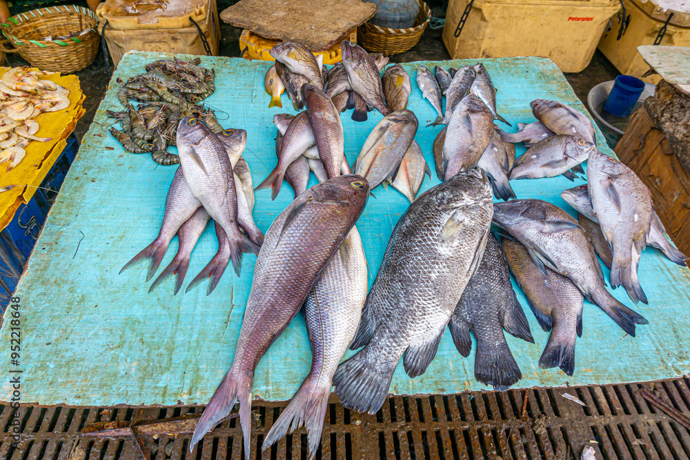 Fresh varieties of sea food meat like fishes, crabs, shrimp, prawns ...