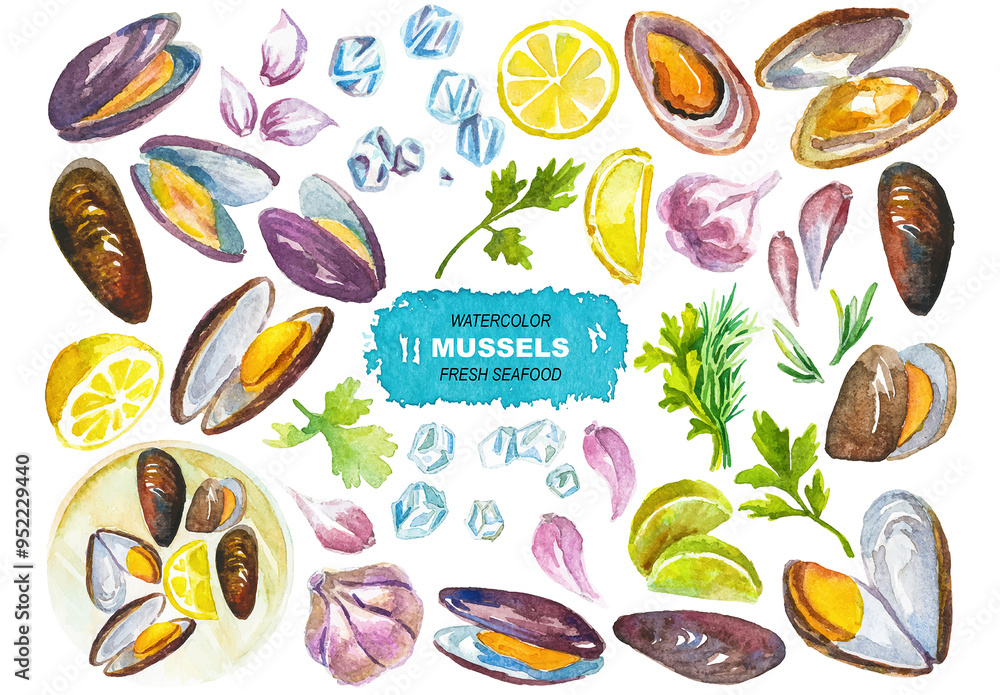 Vector watercolor painted mussels clipart. Hand drawn elements isolated ...