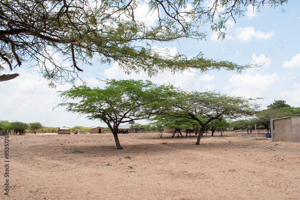 tipica rancheria wayuu en el departamento de la guajira, en colombia ...