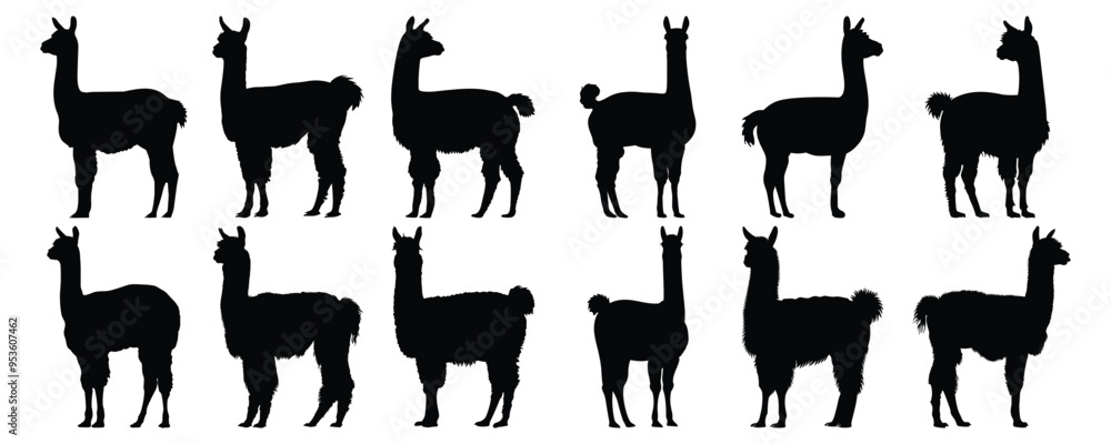 Llama silhouettes set, animal pack of vector silhouette design ...