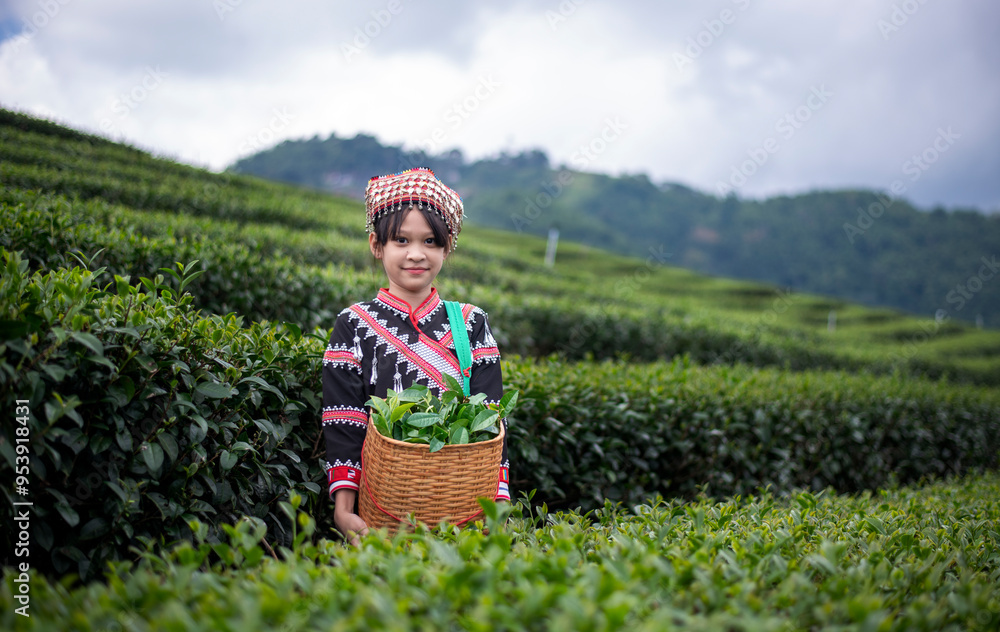 Girl stand in a lush green tea plantation. wearing a traditional ...