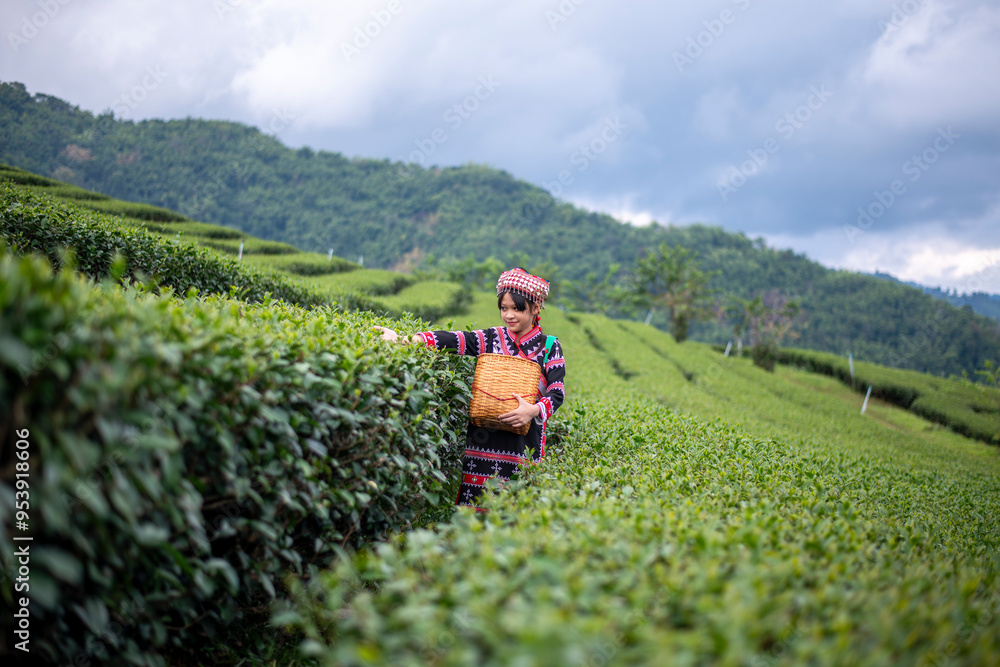 Girl stand in a lush green tea plantation. wearing a traditional ...