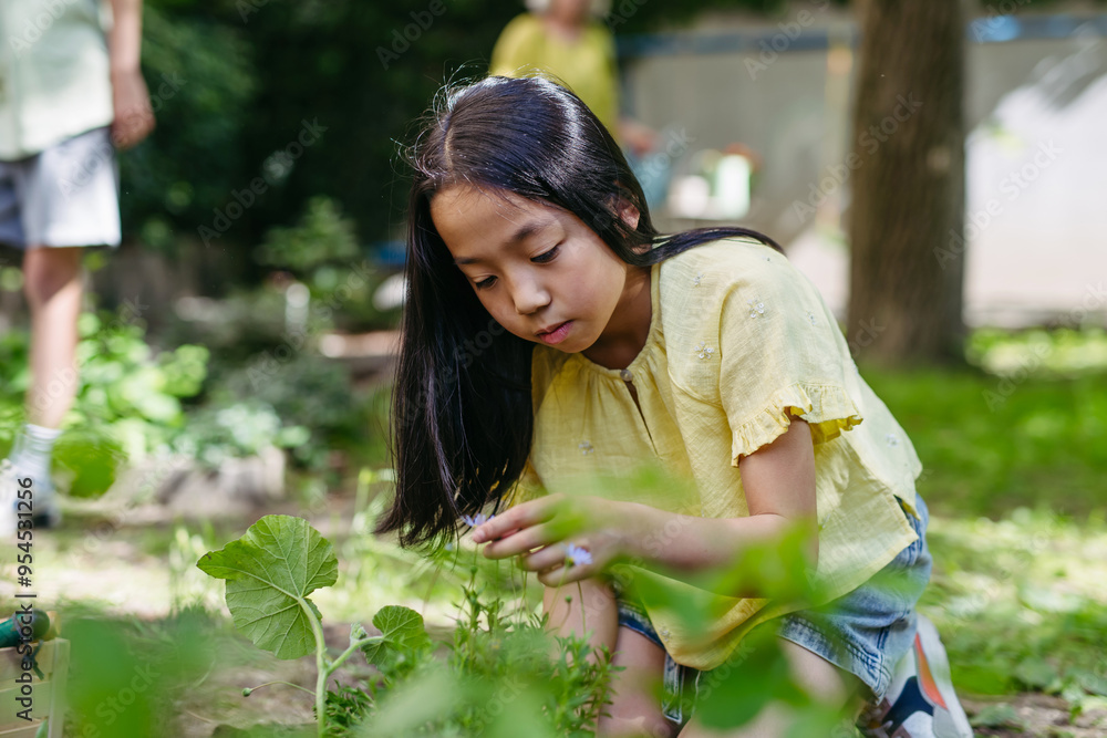 Portrait of cute schoolgirl taking care of plants in school garden ...