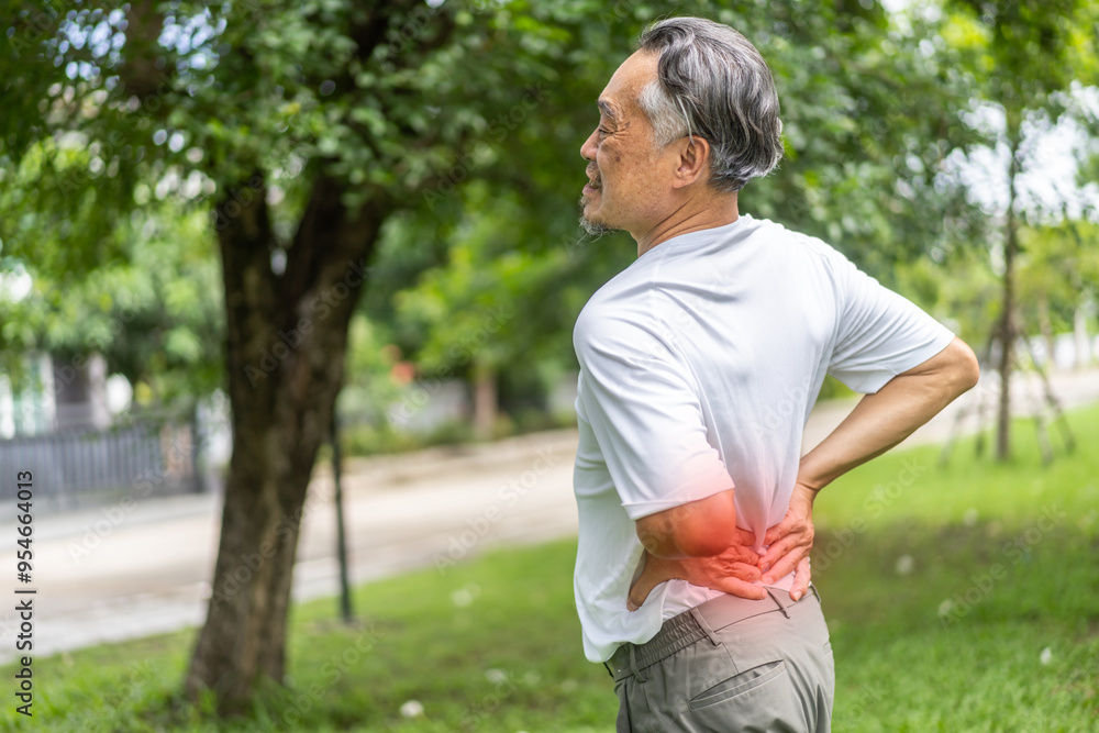 Sick unhappy senior adult elderly man touching her muscle injury Lower ...