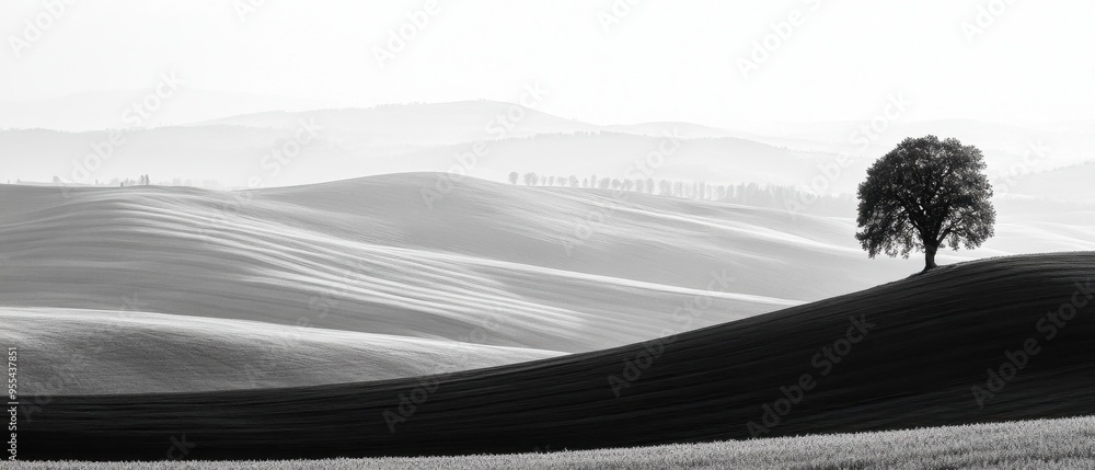 Quiet countryside in black and white rolling hills peaceful fields ...